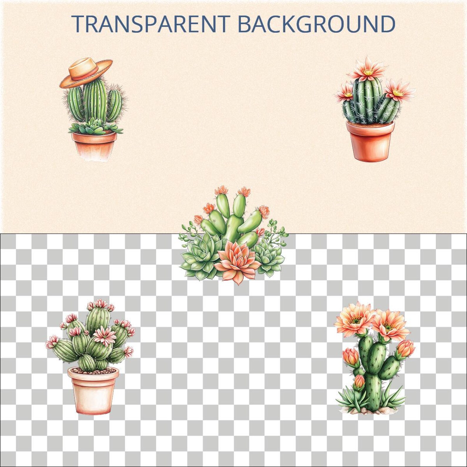 Watercolor Cactus Clip Art Bundle, 42 PNG Files, Digital Download ...