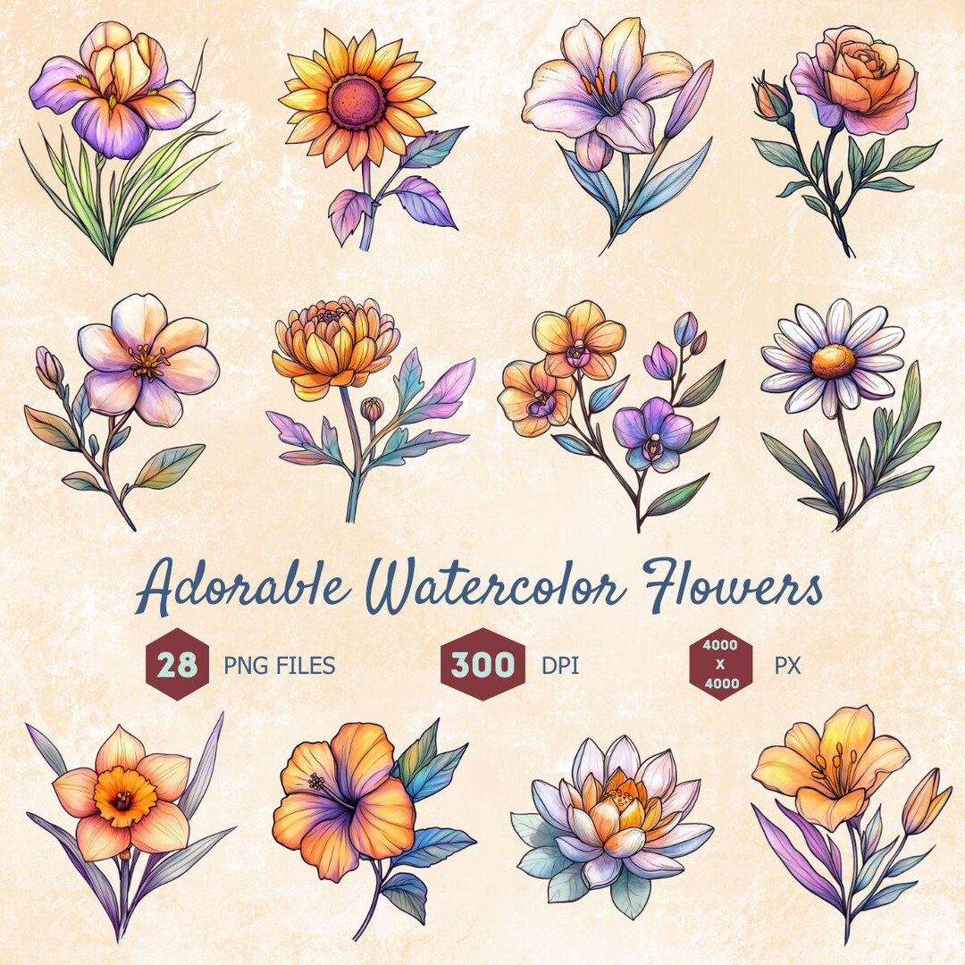 Watercolor Flower Clipart Bundle: 28 PNG Floral Graphics (digital ...
