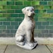 Concrete Boxer Statue Stone Dog Sculpture Handmade Dog Figurine ...