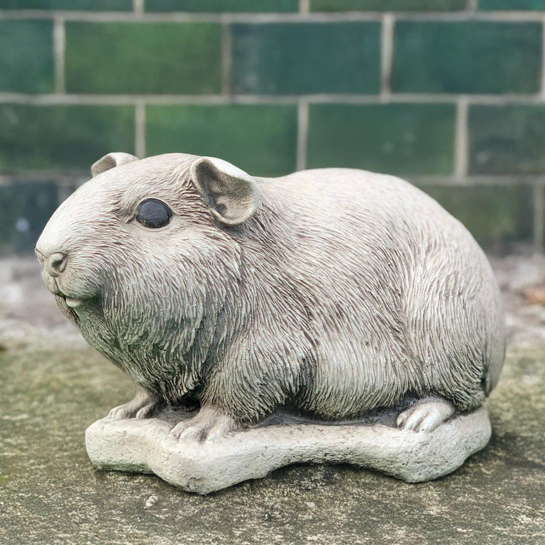 Outdoor Guinea Pig Statue Concrete Guinea Pig Figurine Garden Animal ...