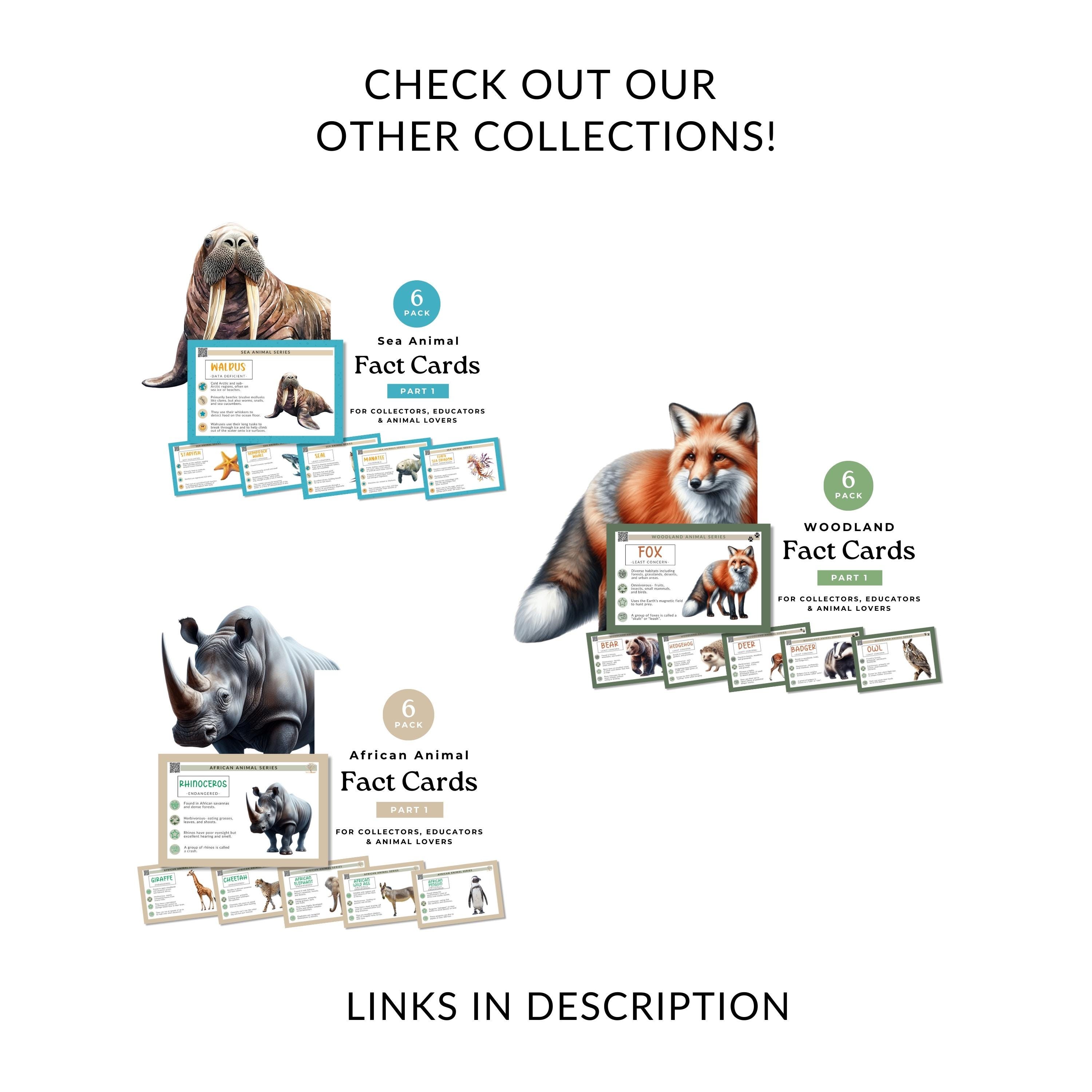Educational Fact Cards, Birds, (part 4), for Teachers, Homeschool and ...