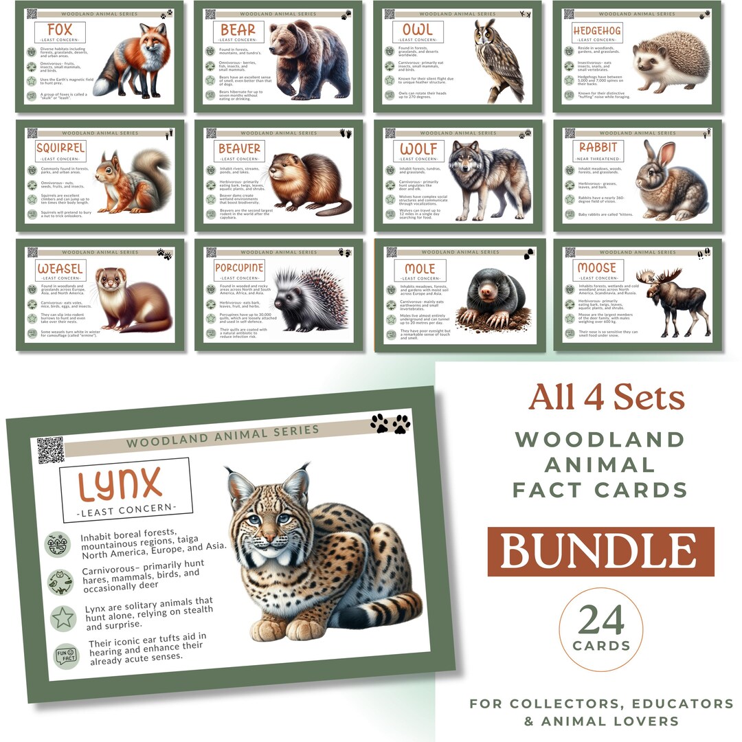 Woodland Animal Fact Cards, Educational Forest Animals for Kids, 24 ...