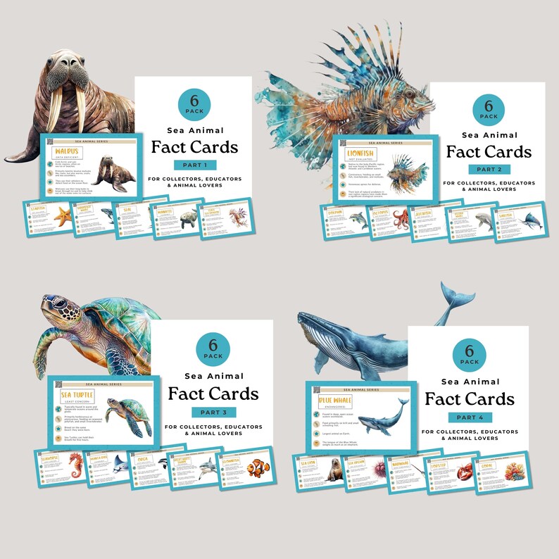 Sea Animal Fact Cards BUNDLE, 24 Educational Wildlife Flashcards for ...