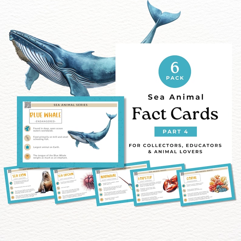 Educational Fact Cards, Sea Animals (part 4), for Teachers, Homeschool ...