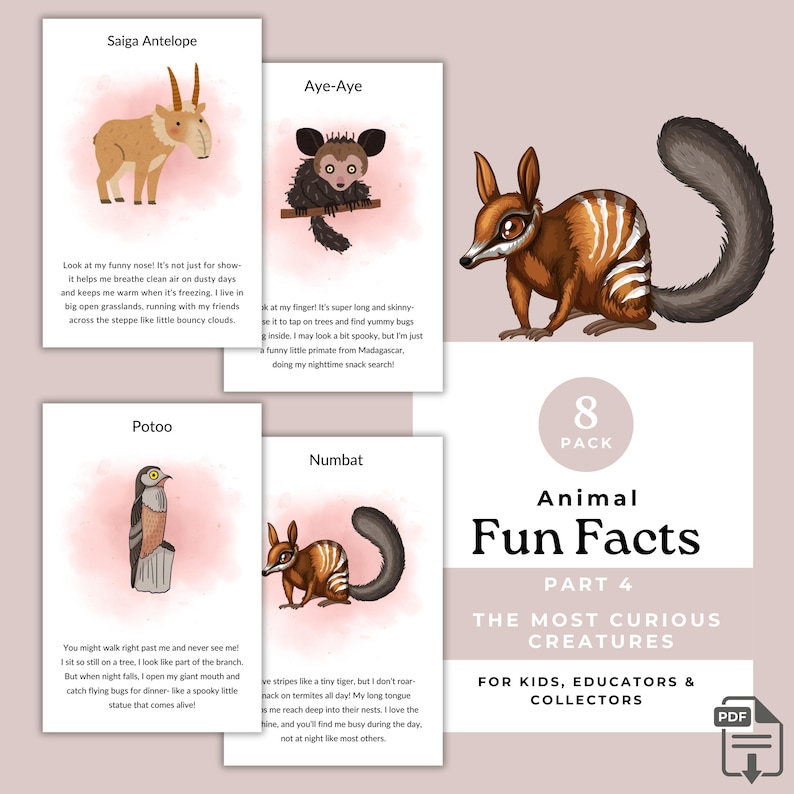 Animal Fun Fact Cards for Kids, the Most Curious Creatures, 8 Printable ...