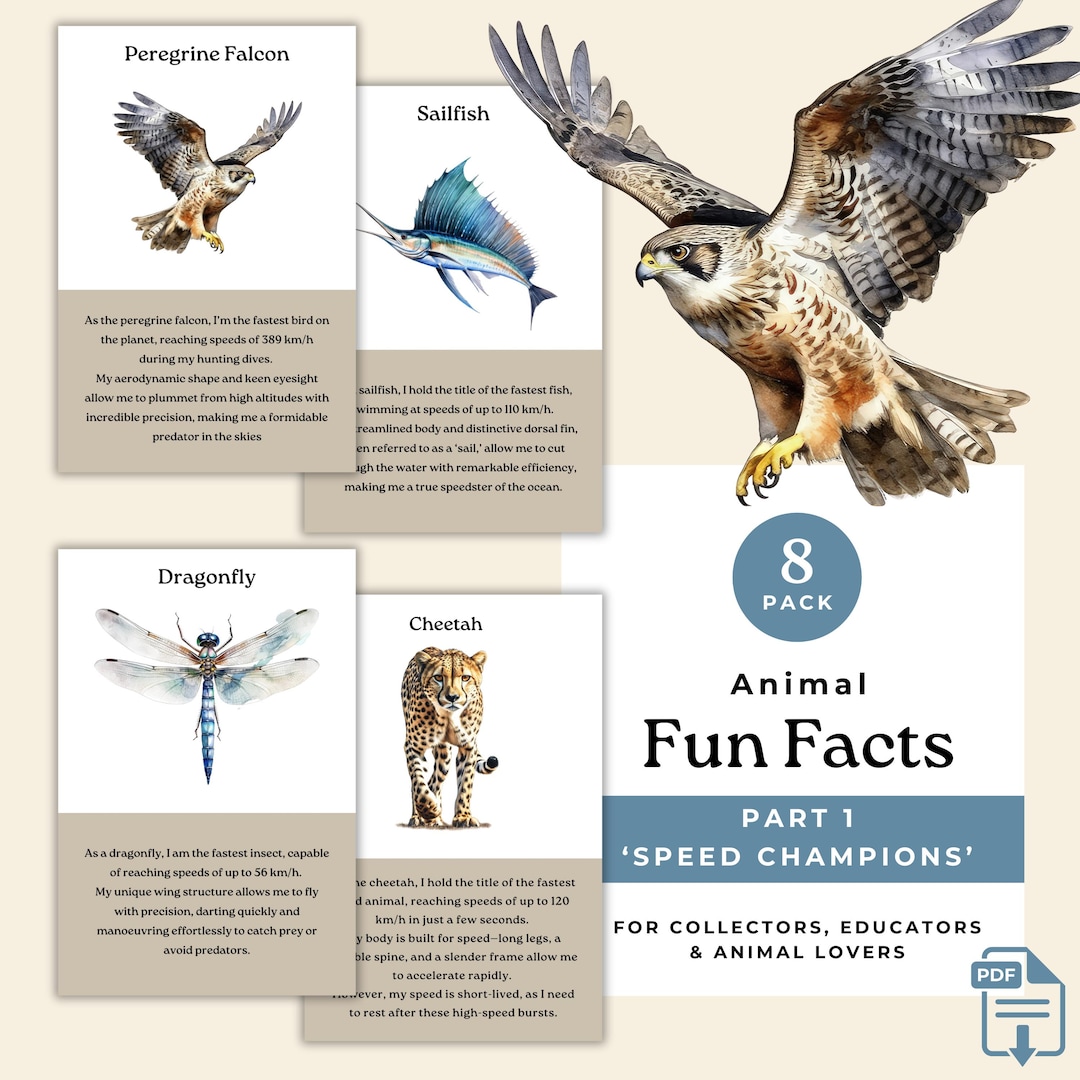Animal Fun Fact Cards for Students and Adults, Fastest Animals, Fun ...