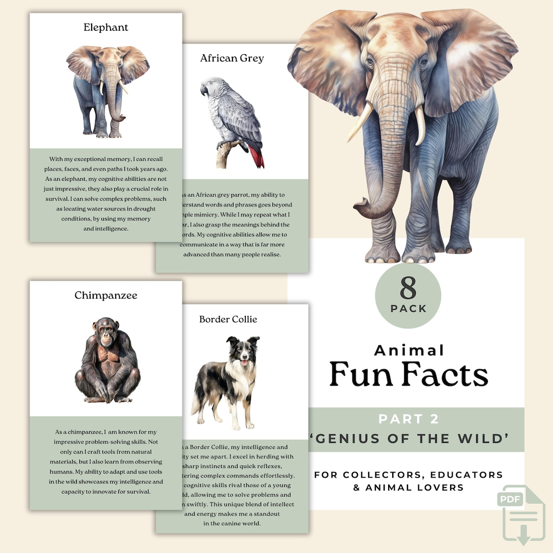 Fun Fact Cards, Smartest Animals, for Student and Adults With Stylish ...
