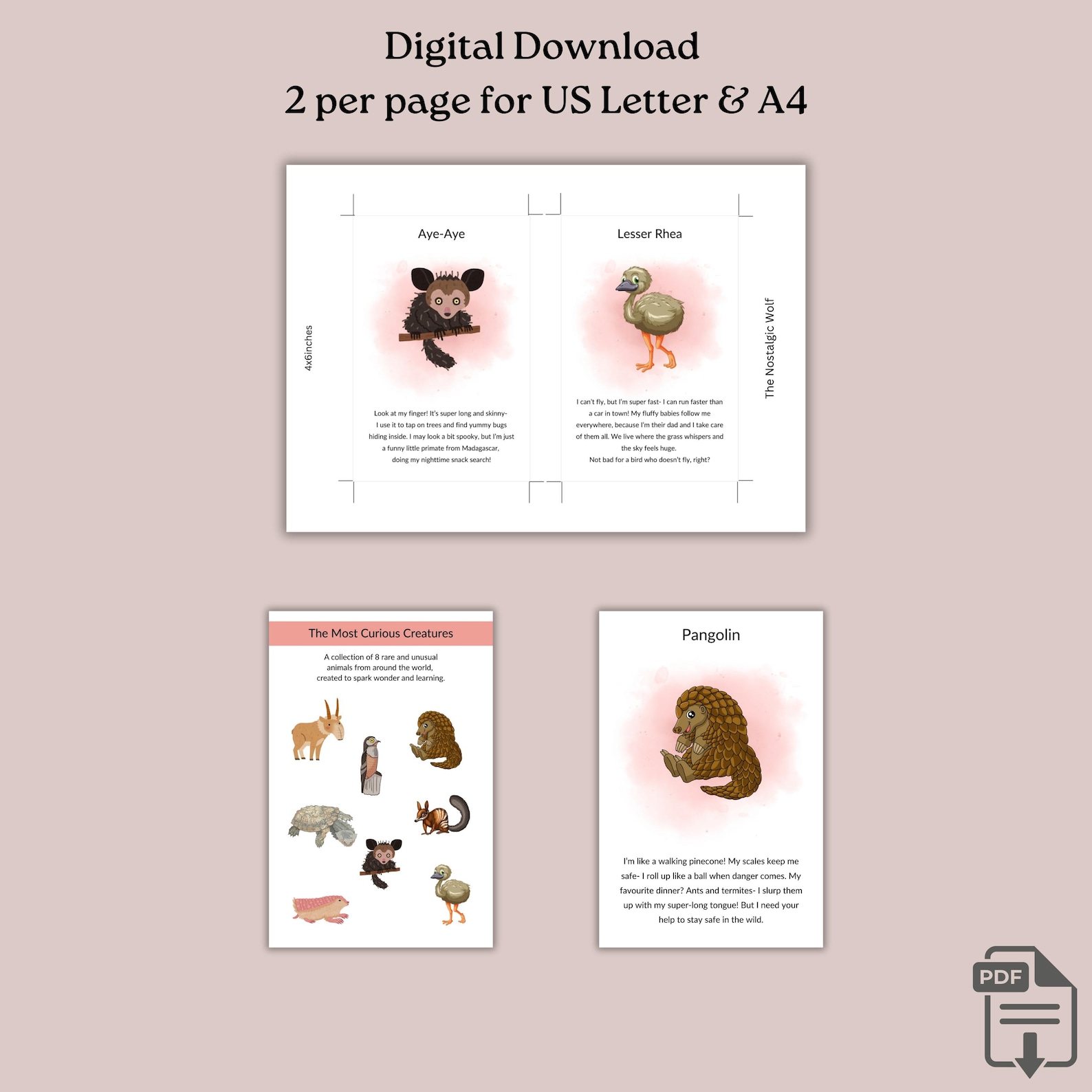 Animal Fun Fact Cards for Kids, the Most Curious Creatures, 8 Printable ...