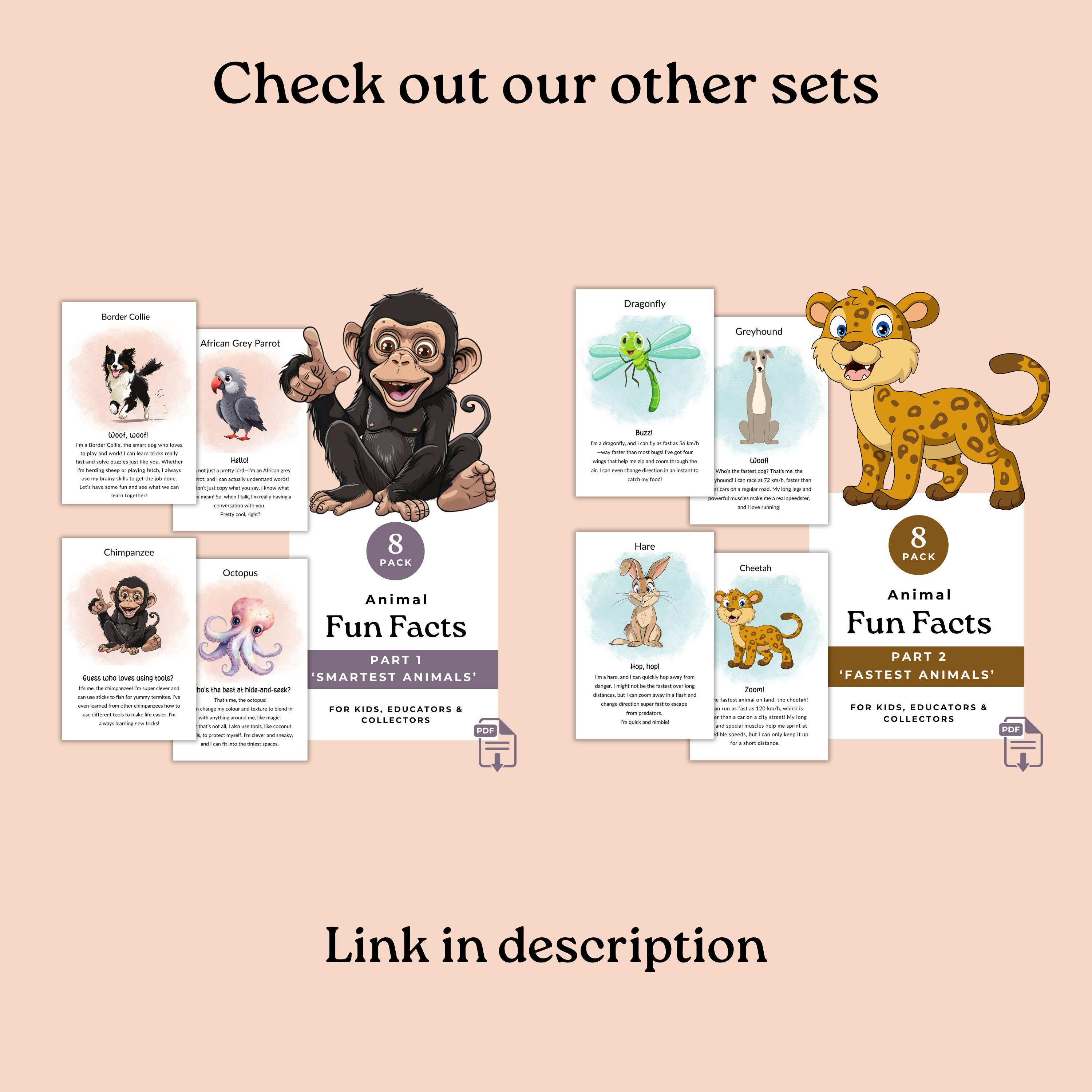 Animal Fun Fact Cards for Kids, the Funniest Animals, 8 Printable ...