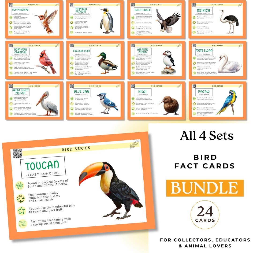 Educational Bird Fact Cards Bundle, Wildlife Learning (PDF) - Etsy