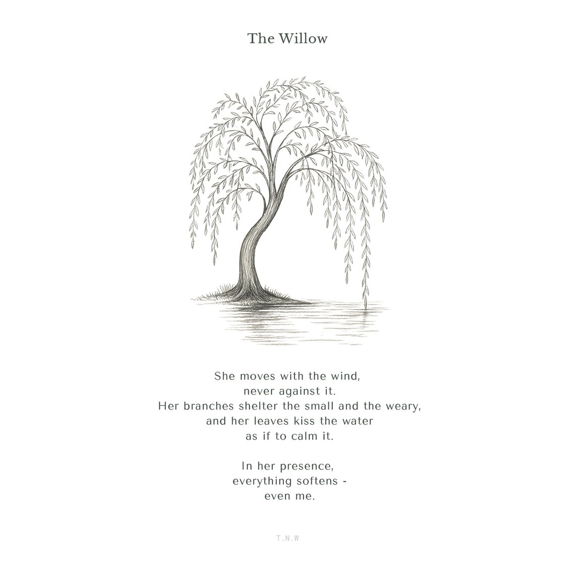 Willow Tree Poem Art Print, Pencil Willow Drawing, Botanical Wall Decor ...