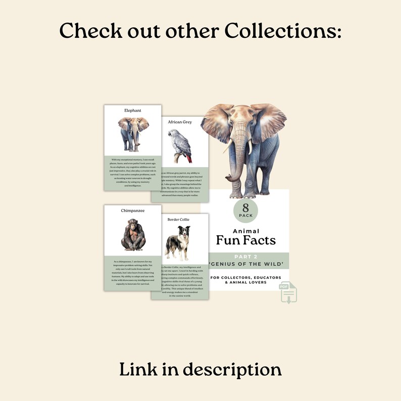 Fastest Animals Fun Fact Cards, Speed Champions Collection (printable ...