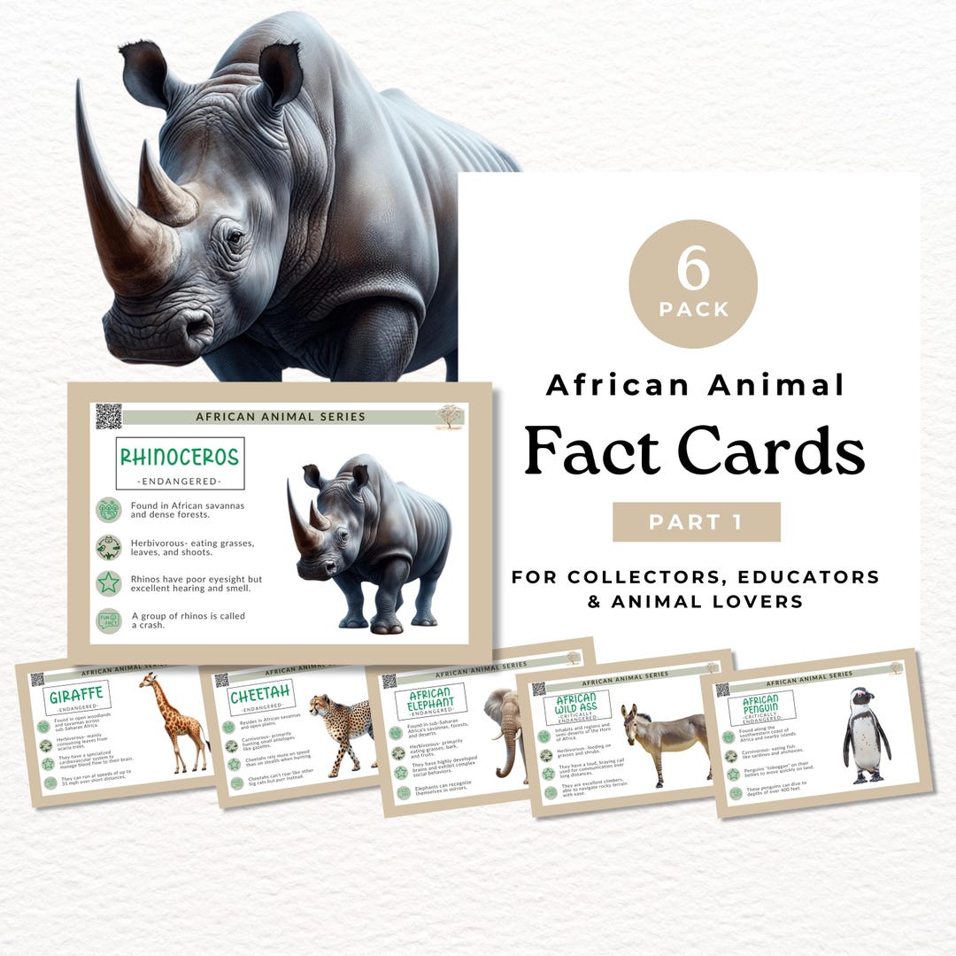 Educational Fact Cards, African Animals, Safari Animals (part 1), for ...