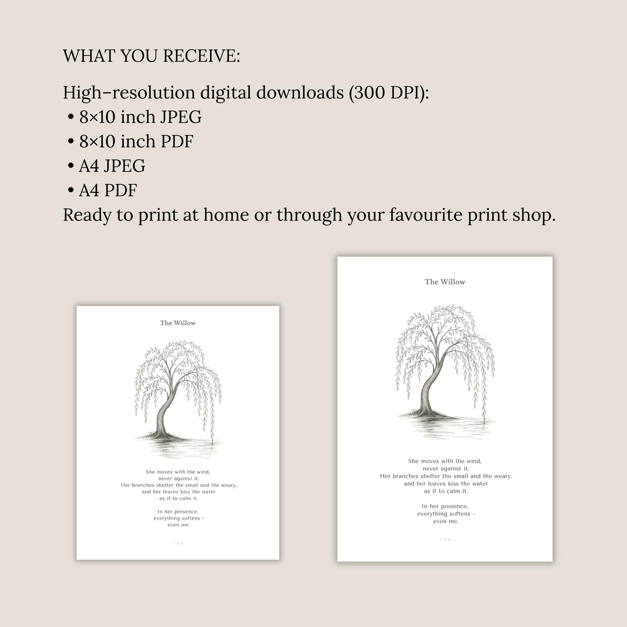 Willow Tree Poem Art Print, Pencil Willow Drawing, Botanical Wall Decor ...
