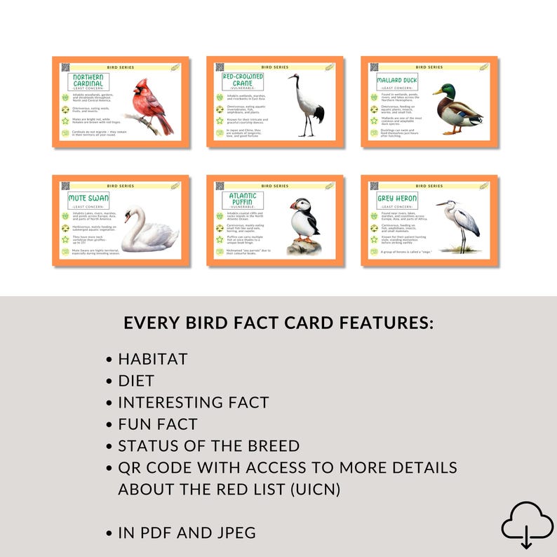 Educational Fact Cards, Birds, (part 4), for Teachers, Homeschool and ...