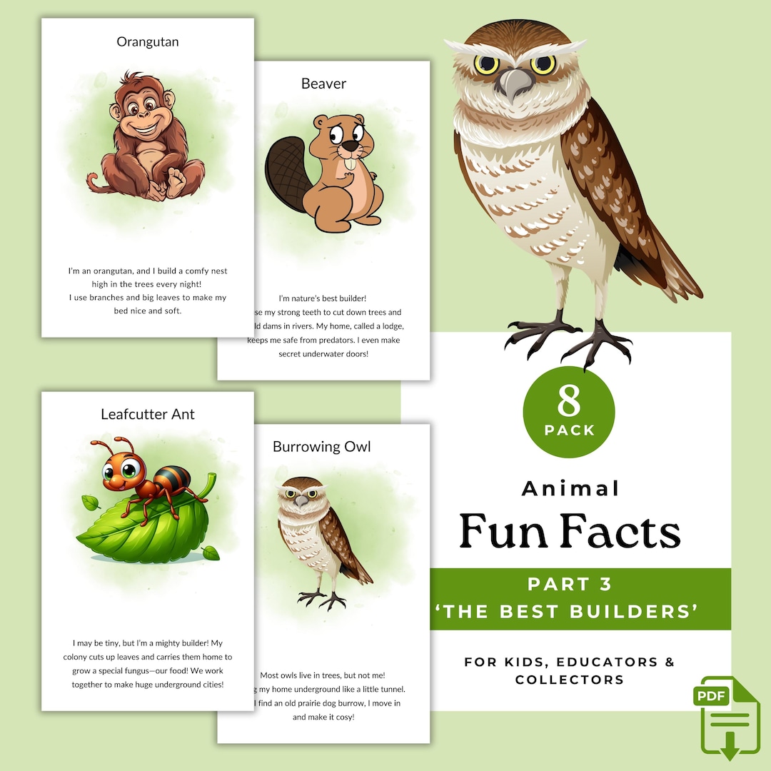 Animal Fun Fact Cards for Kids, 'the Best Builder', 8 Printable ...