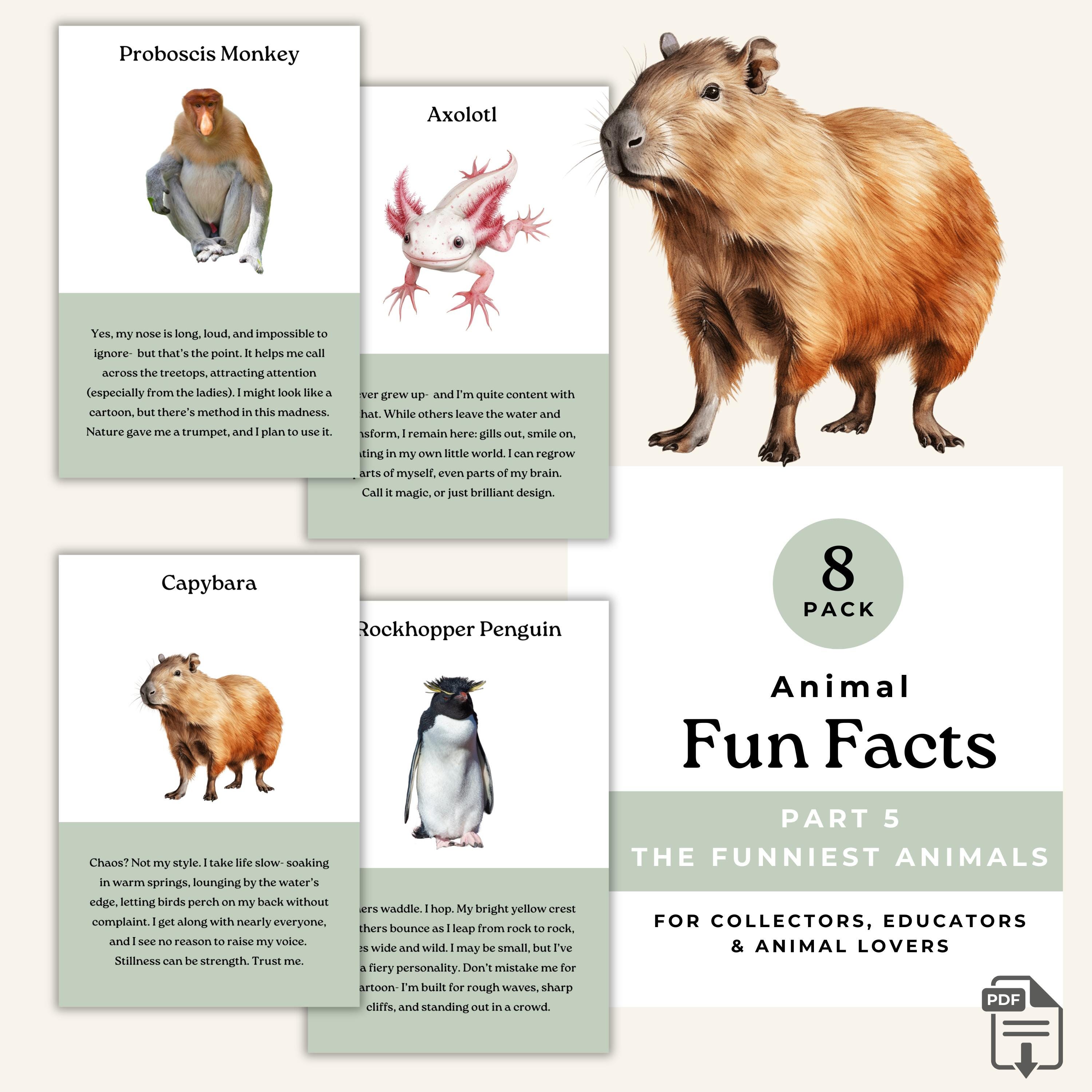 Animal Fun Fact Cards for Students and Adults, the Funniest Animals ...