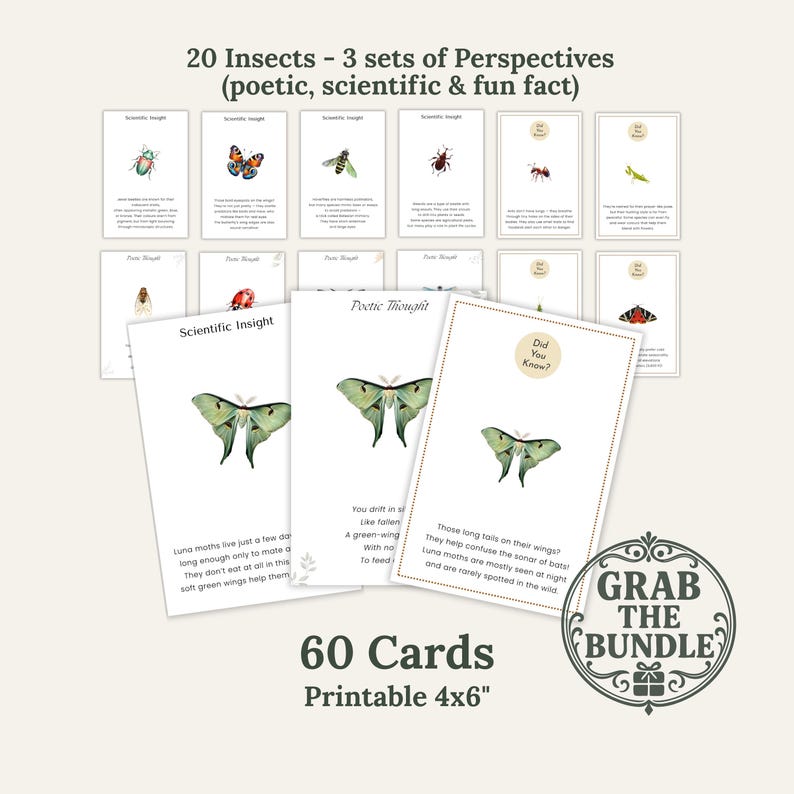 60 Printable Insect Card Set, 20 Insects, Three Perspectives, Poetic ...