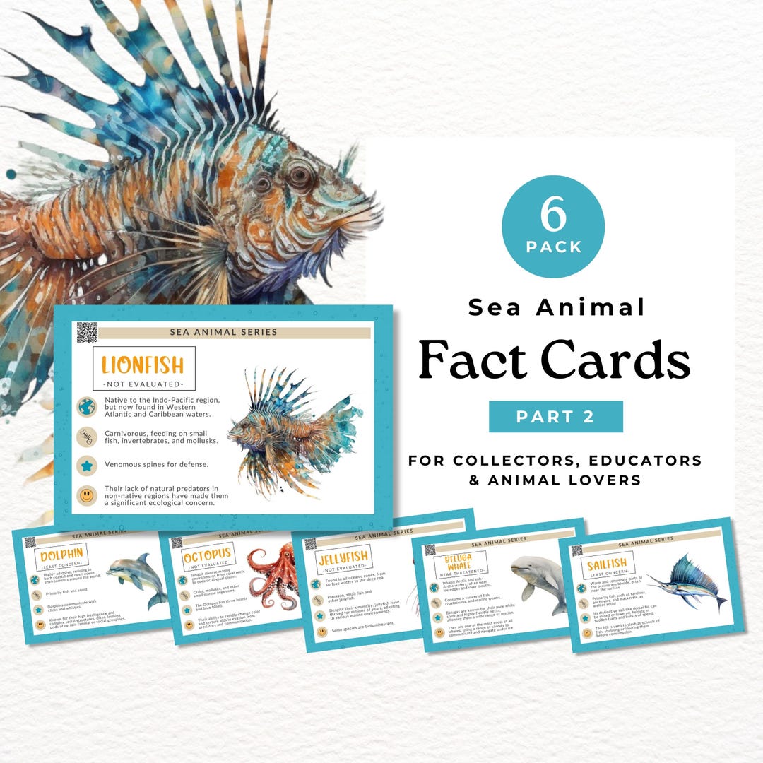 Educational Fact Cards, Sea Animals (part 2), for Teachers, Homeschool ...