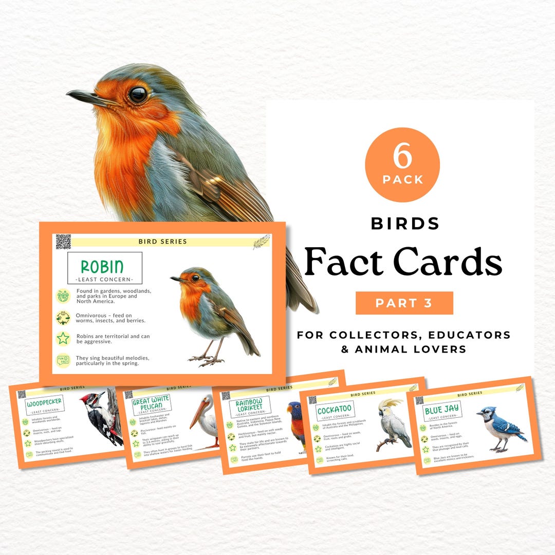 Educational Fact Cards, Birds, (part 3), for Teachers, Homeschool and ...