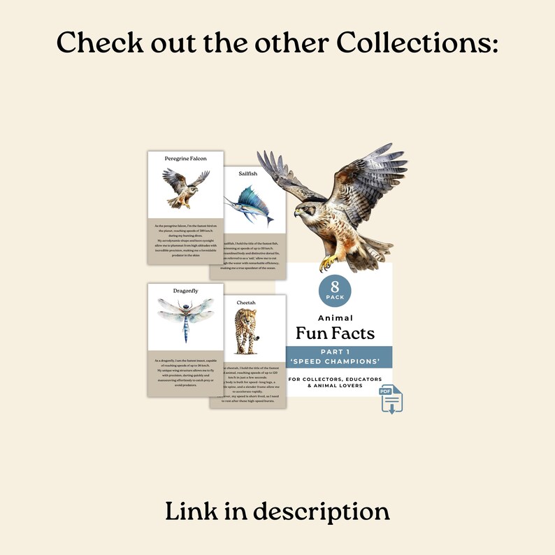Fun Fact Cards, Smartest Animals, for Student and Adults With Stylish ...