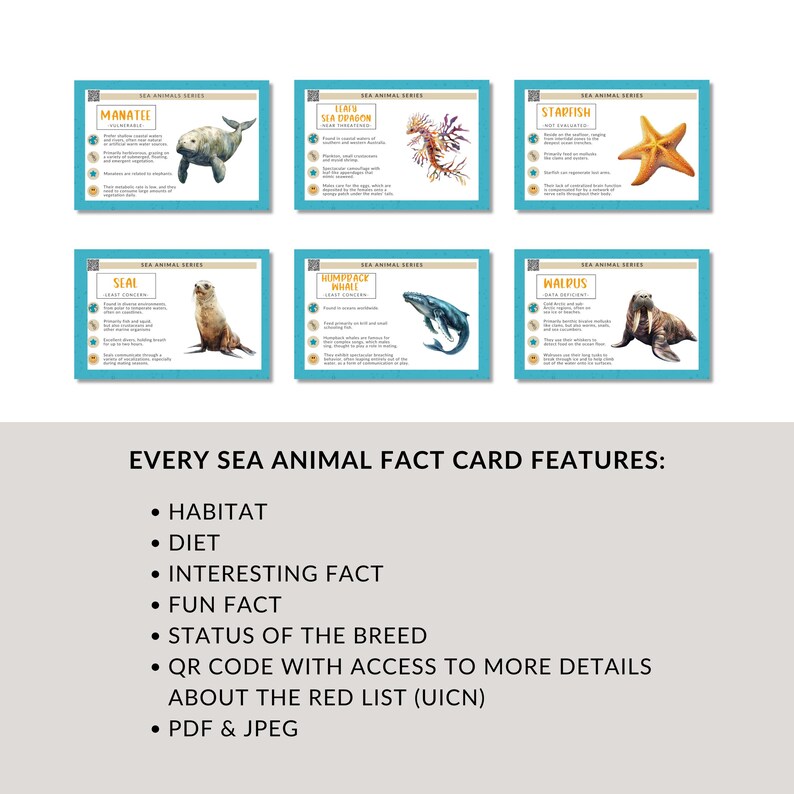 Educational Fact Cards, Sea Animals (part 1), for Teachers, Homeschool ...