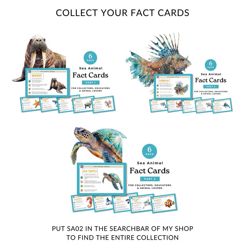 Educational Fact Cards, Sea Animals (part 4), for Teachers, Homeschool ...