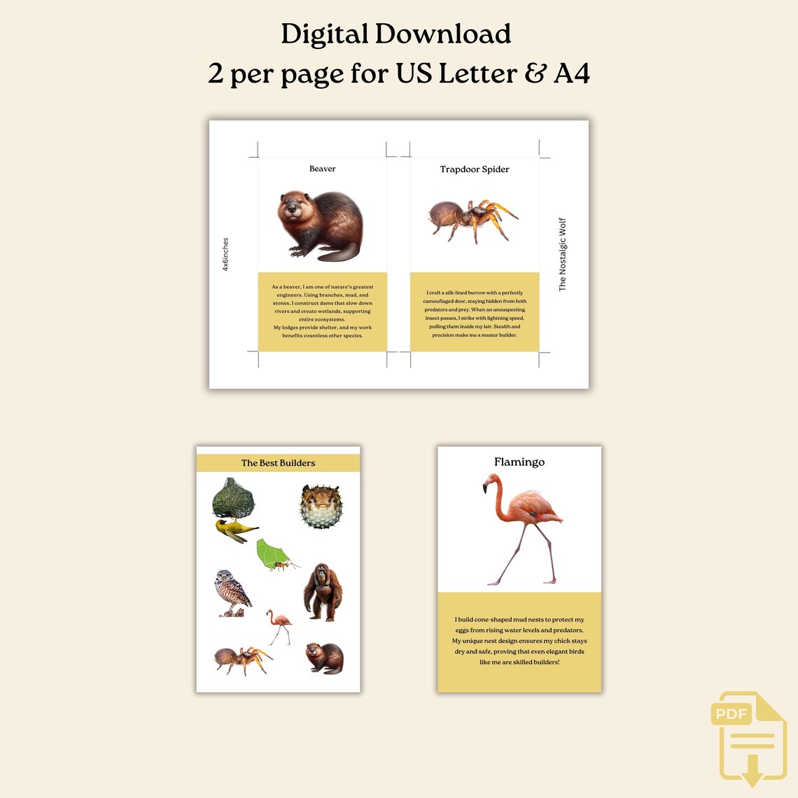 Animal Fun Fact Cards for Students and Adults, the Best Builders ...