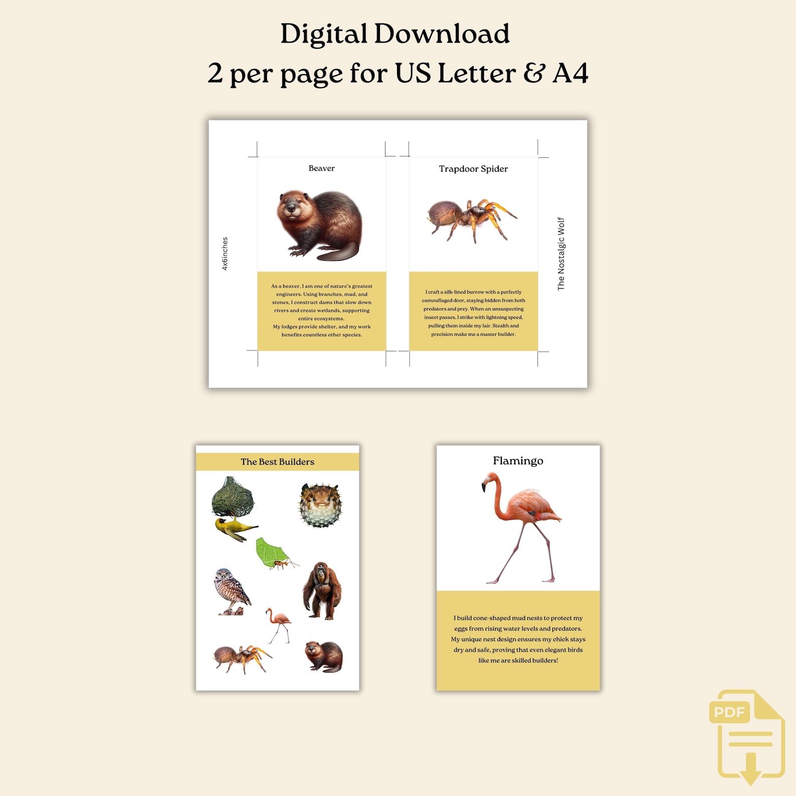 Animal Fun Fact Cards for Students and Adults, the Best Builders ...