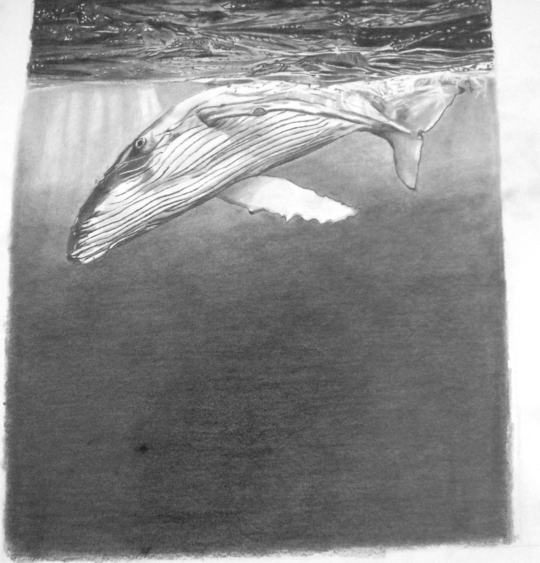 Pencil Drawing, Graphite Drawing, Whale Drawing, Graphite Original, Sea ...