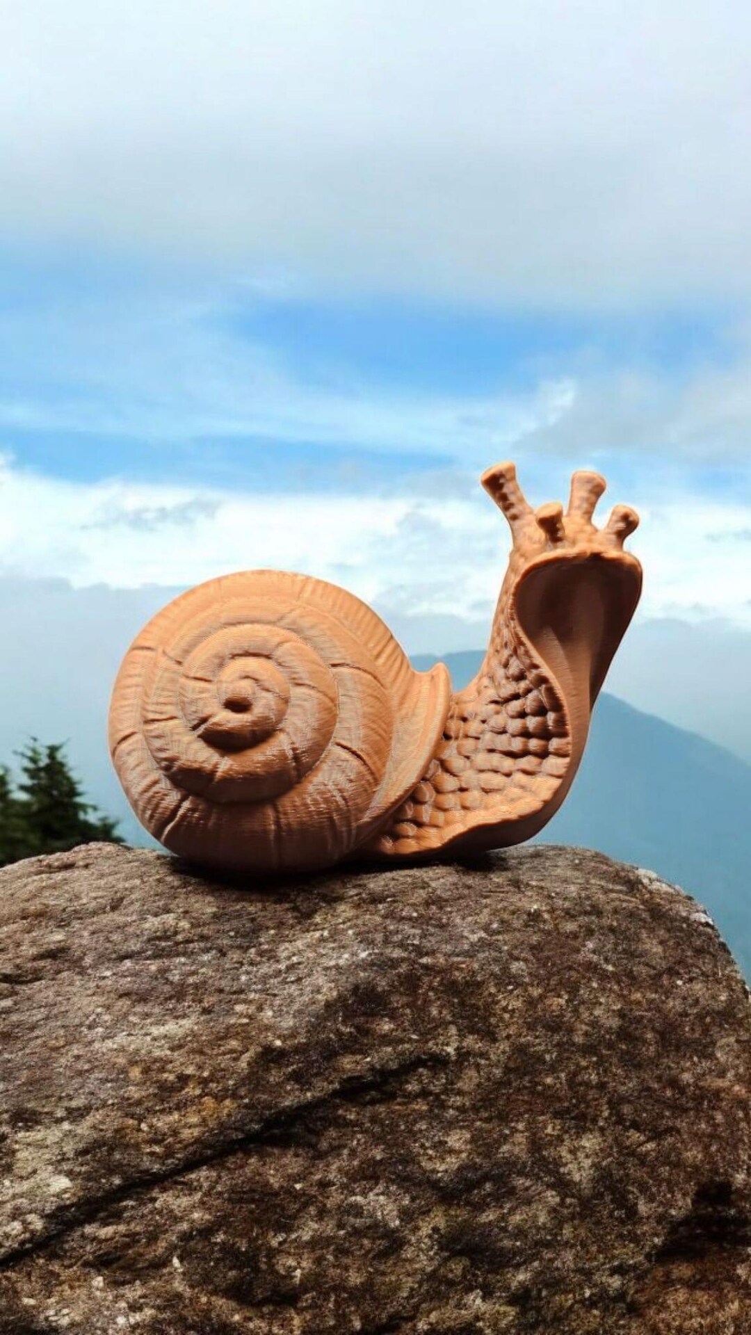 Snail STL File for Your Own 3D Printing. - Etsy