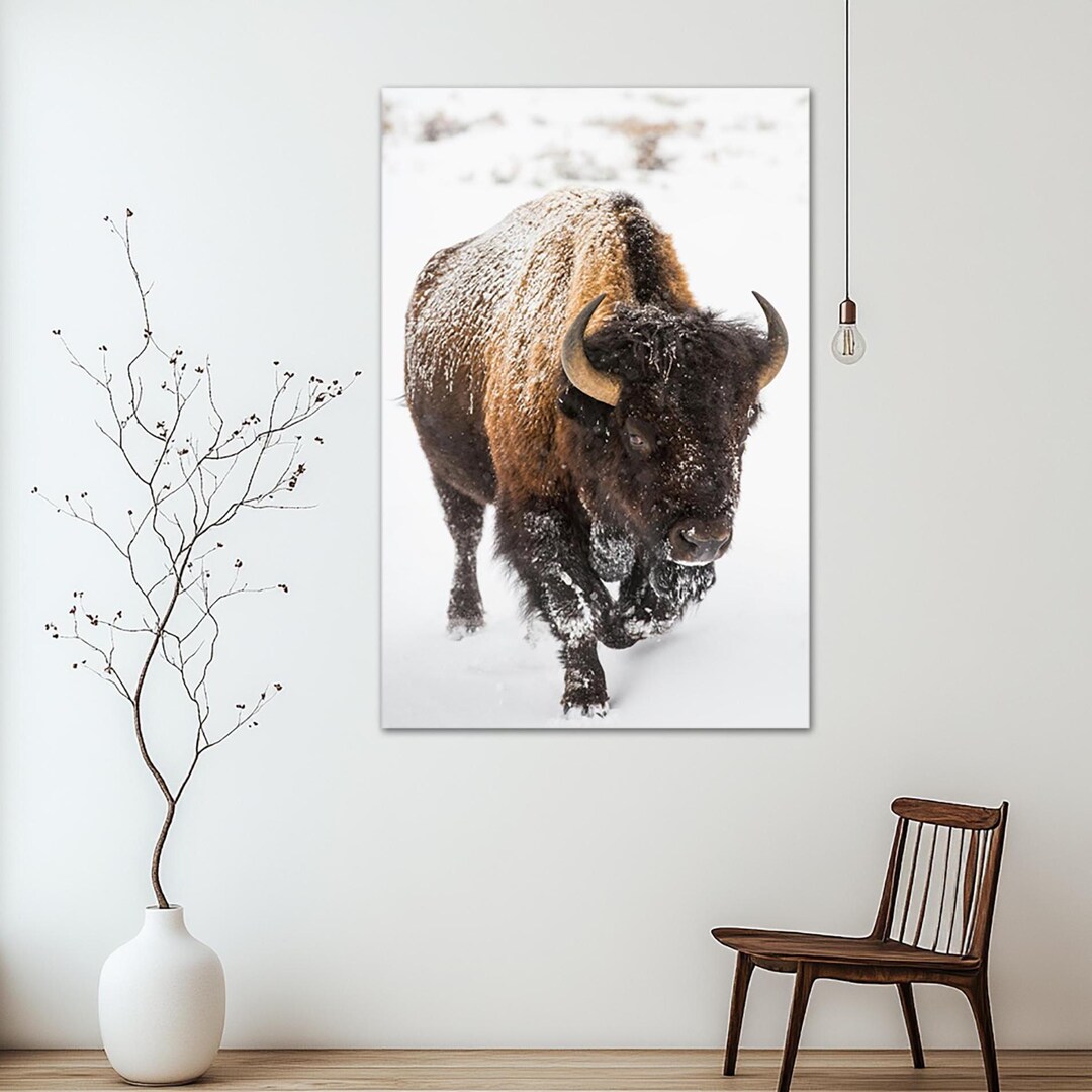 Bison Canvas Wall Art Rustic Art Decor Wildlife Bison Print Wild ...