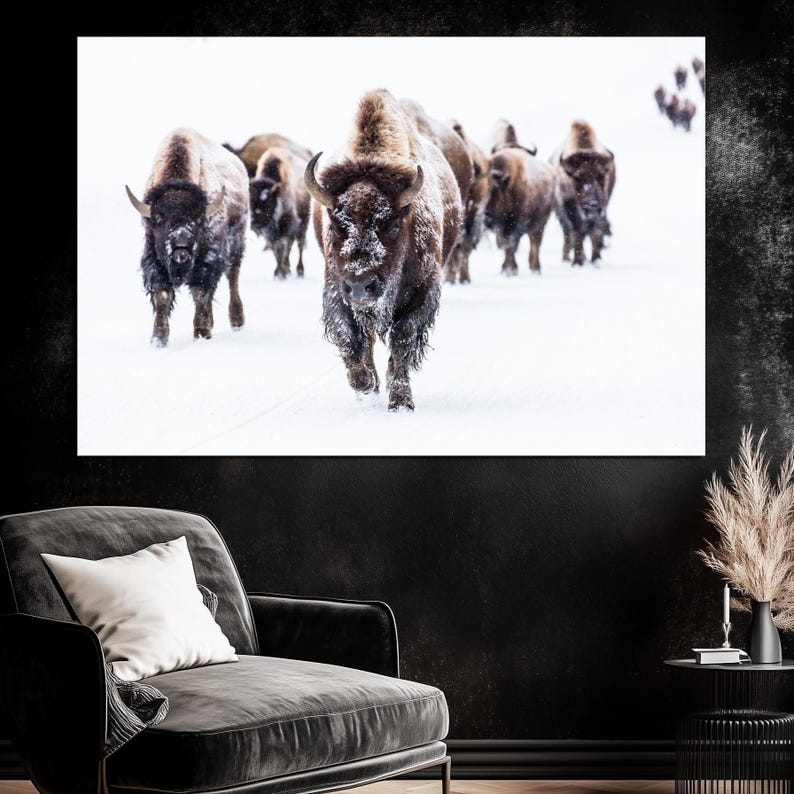 Winter Buffalo Canvas Print: Majestic Bison in Snow, Farmhouse Wall Art ...