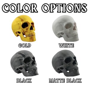 Skull of Donald Trump - Etsy