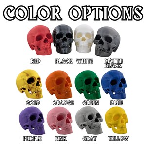 Skull of Donald Trump - Etsy