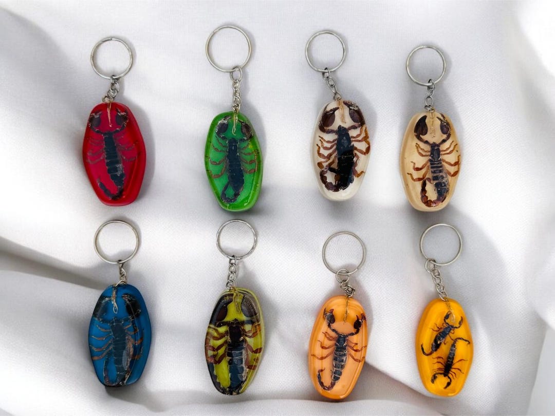 Authentic Moroccan Scorpion Key Rings in Resin – Real Scorpion • Insect ...