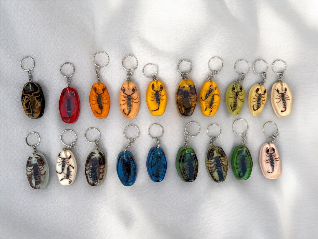 Authentic Moroccan Scorpion Key Rings in Resin – Real Scorpion • Insect ...