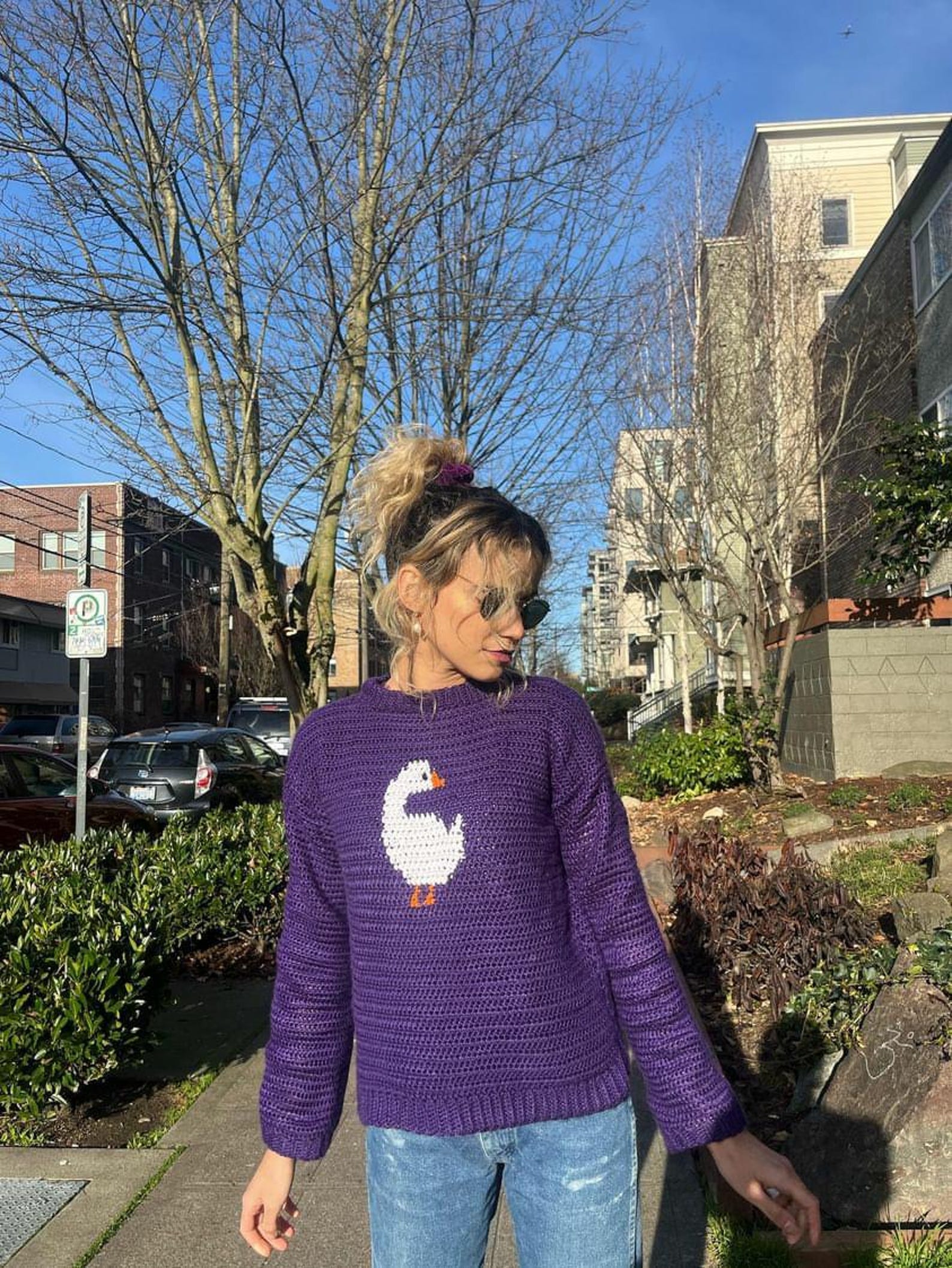 Silly Goose Sweater Pattern Pdf - Etsy
