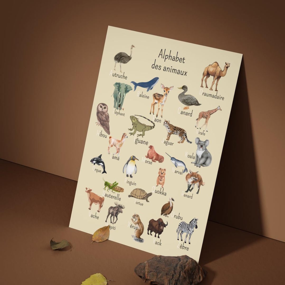 Affiche ABC, Affiche Alphabétique, Alphabet Des Animaux En Français ...