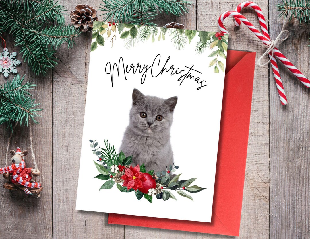 Printable Cat Christmas Card, Diy Holiday Card, Winter Greeting Card ...