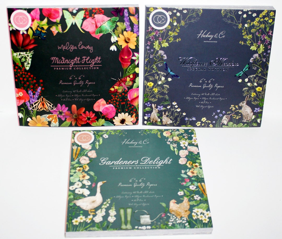 Craft Consortium Double-sided Paper Pad 6X6, Midnight Flight ...