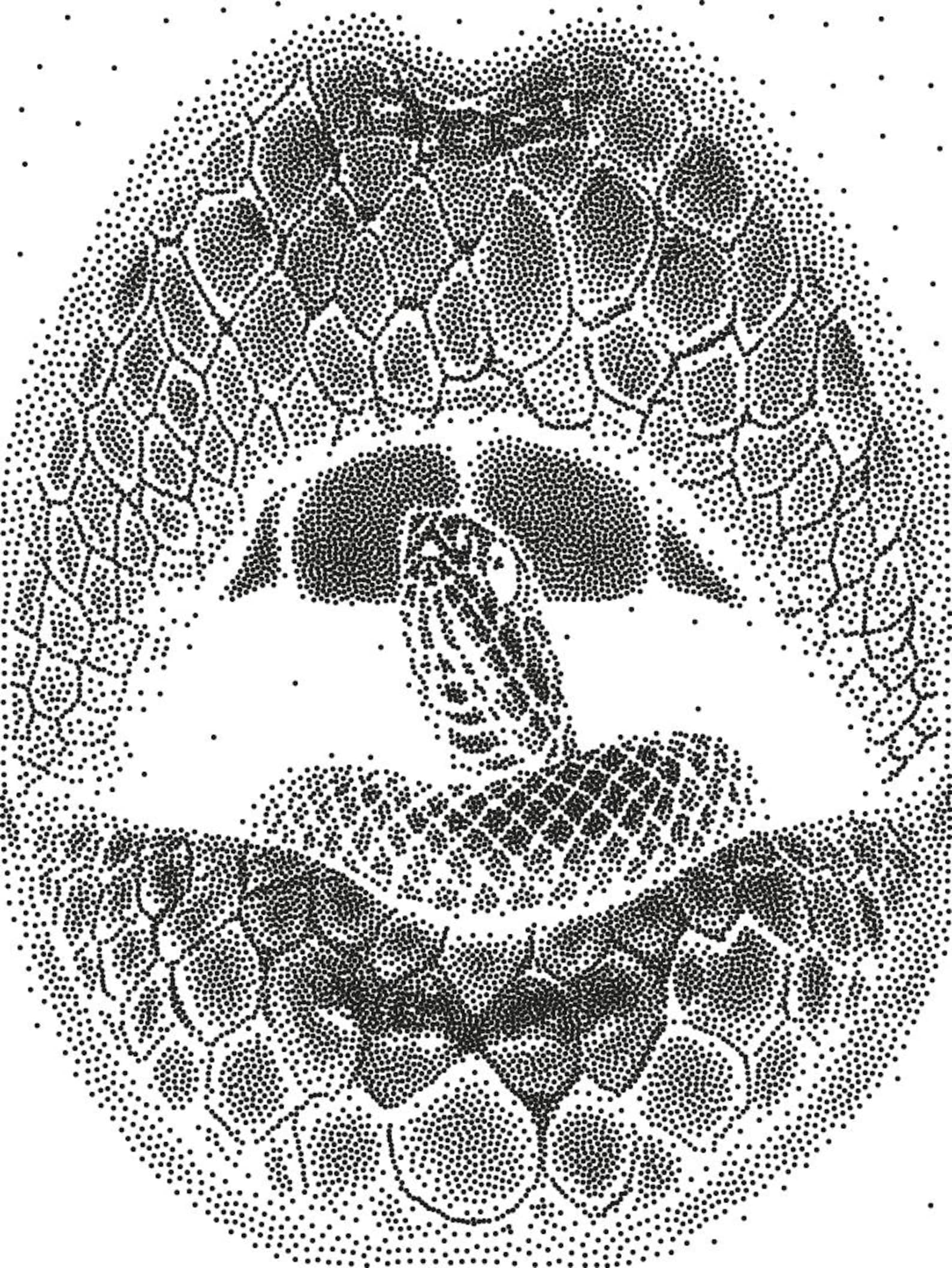 Strass Brill Creations ( Snake and Mouth) Crystal Art & Digital ...