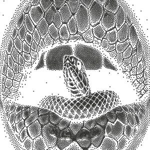 Strass Brill Creations ( Snake and Mouth) Crystal Art & Digital ...