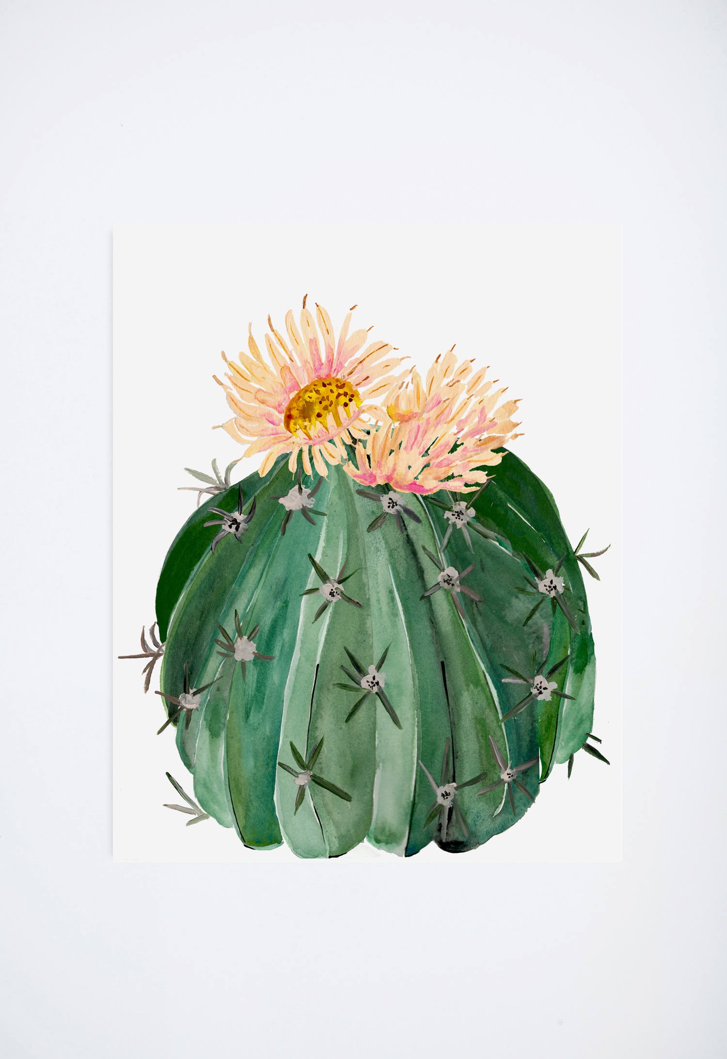 Watercolor Cacti 04 Cactus Flowers Floral Prints 11 | Etsy