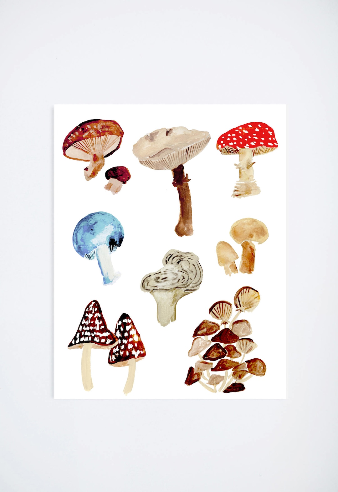 Mushroom Study - Art Print - 11x14 - Illustration - Art Print - Etsy