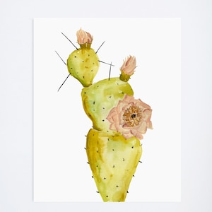 Watercolor Cacti 01 - Prickly Pear Cactus - Floral Prints - 8 X 10 ...