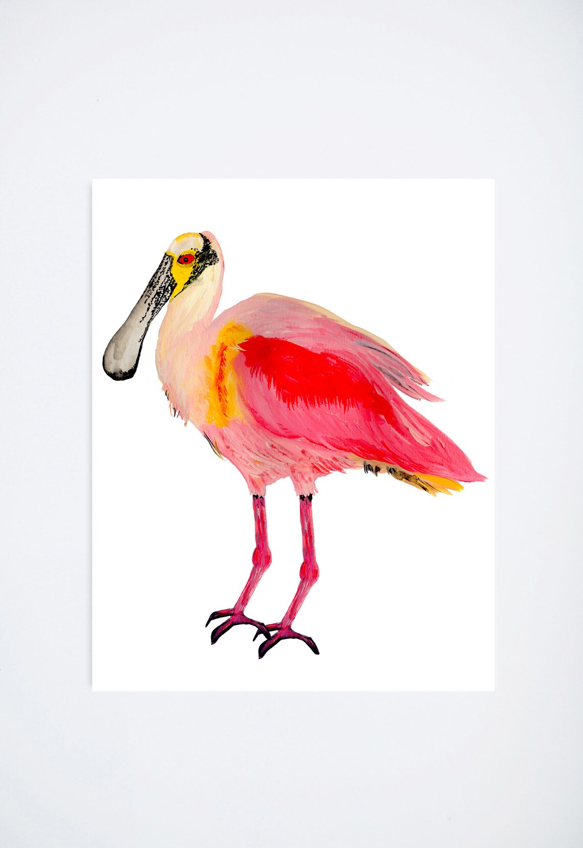 Funky Pink Roseate Spoonbill Bird Illustration Animals - Etsy