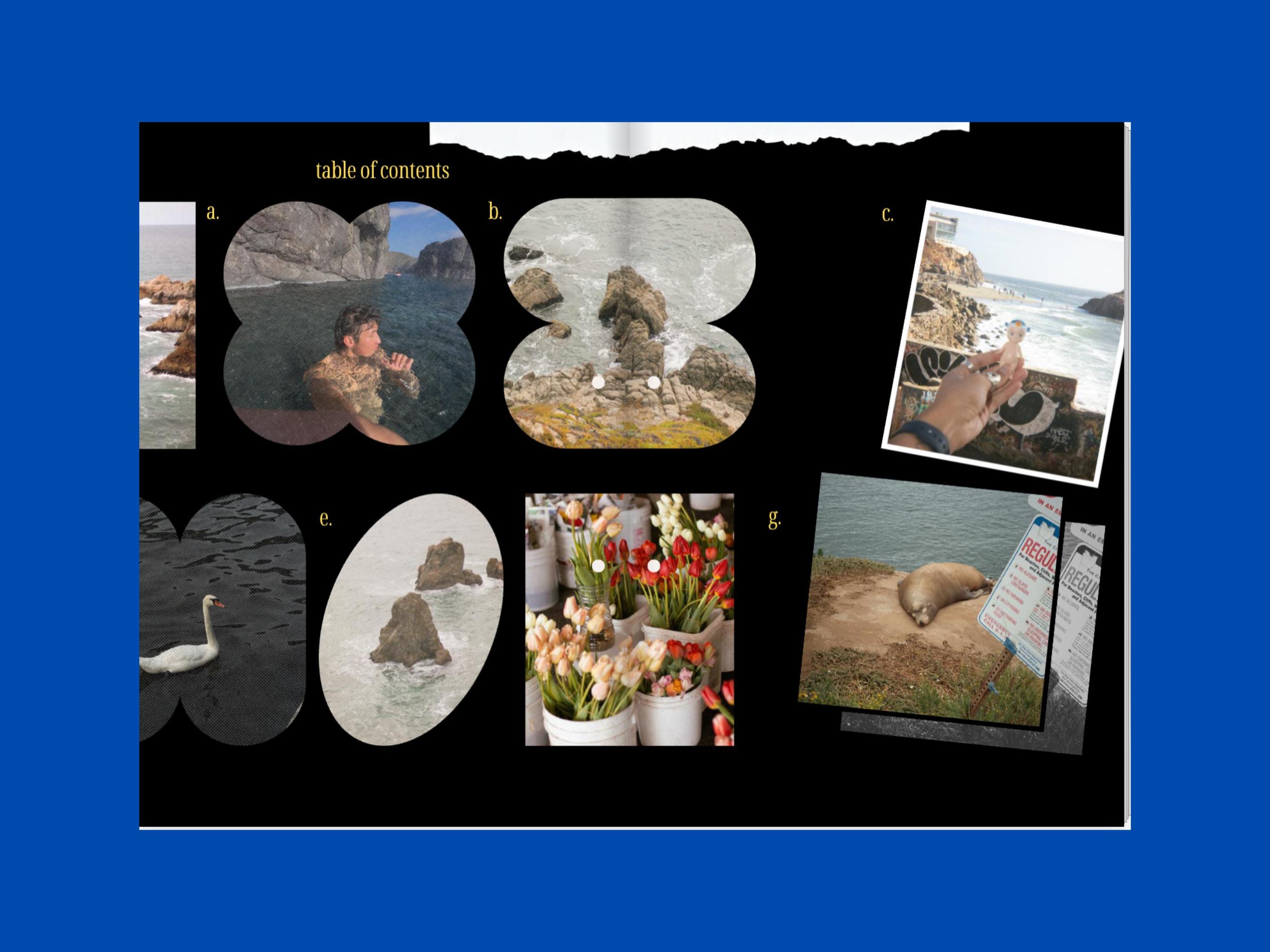 Canva Template | Digital Zine, Portfolio, Media Kit, Photography, DIY ...