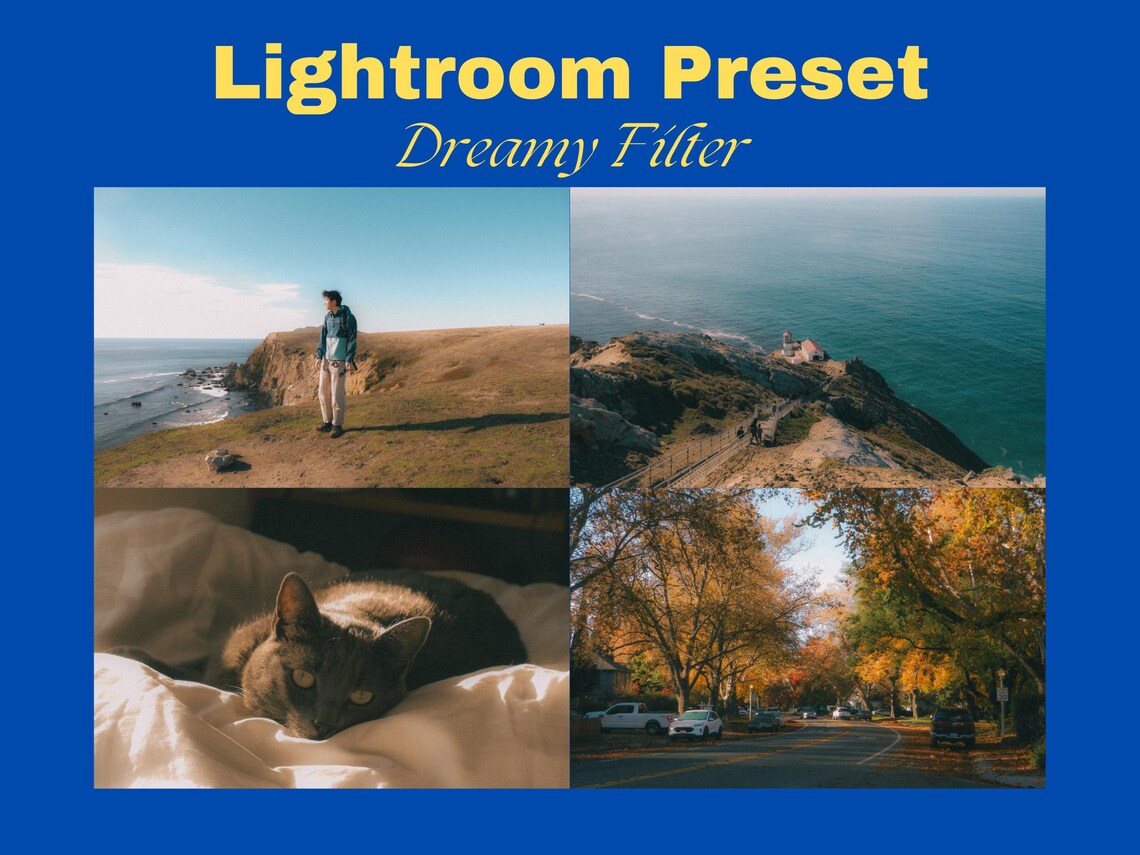 Lightroom Preset Dreamy Filter | Lightroom Classic, Editing Tool, Copy ...