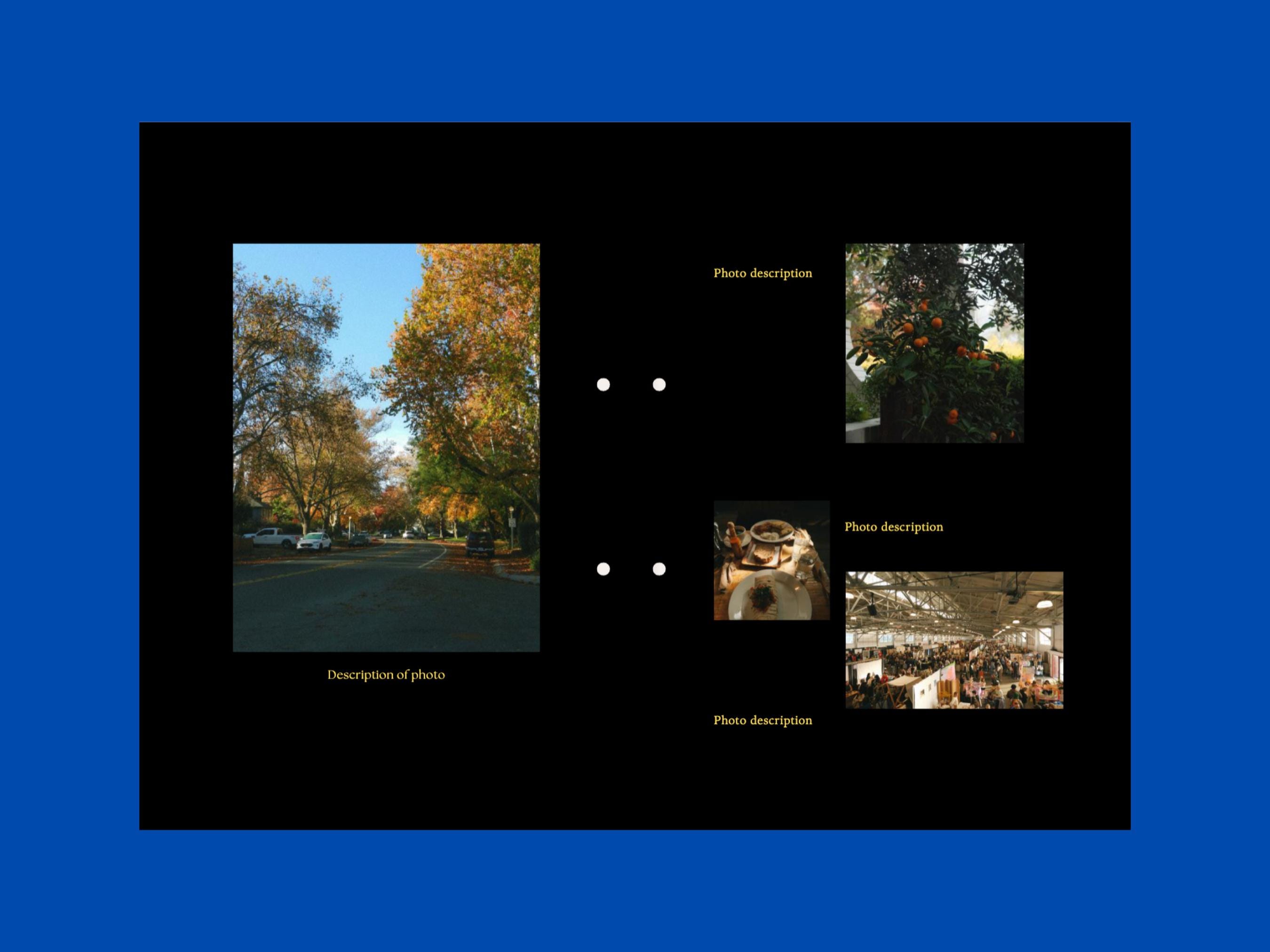 Canva Template | Digital Zine, Portfolio, Media Kit, Photography, DIY ...